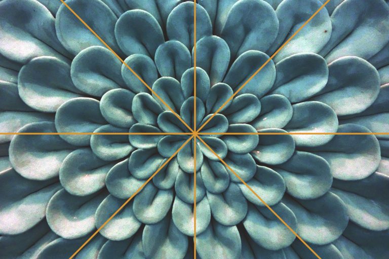 Cómo conseguir la simetría perfecta en tus fotos - JAVIER SOMOZA